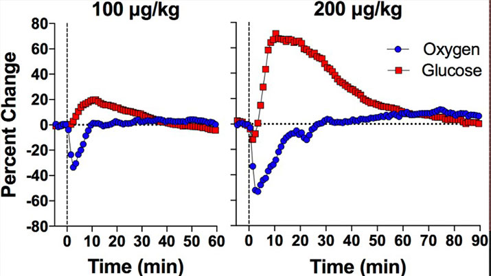 Rory Lewis JD PhD, Law, Artificial Consciousness